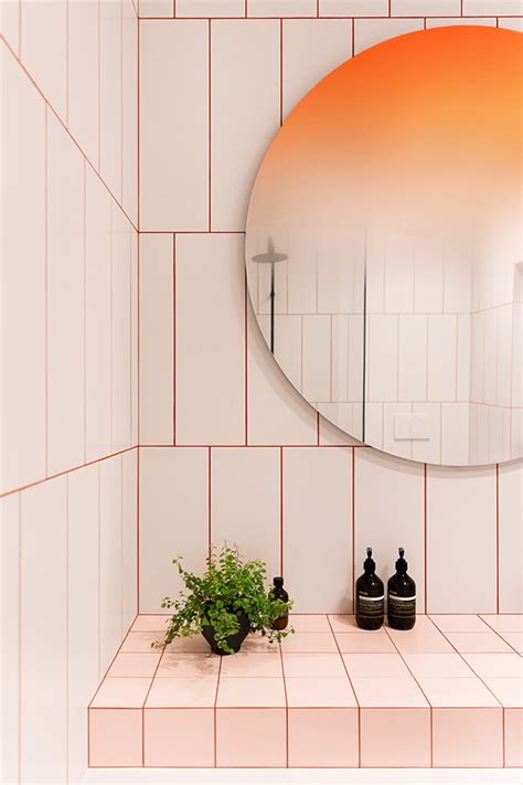 NIOLA :: Behance