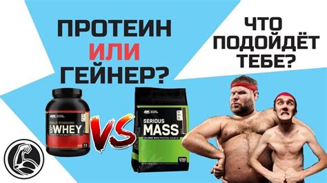 Гейнер для набора веса худым мужчинам: как выбрать лучший, когда и ...