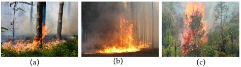 Mcan-YOLO: An Improved Forest Fire and Smoke Detection Model Based on YOLOv7
