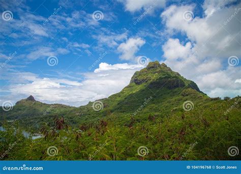 Green Mountains of Bora Bora Stock Photo - Image of clouds, trees ...