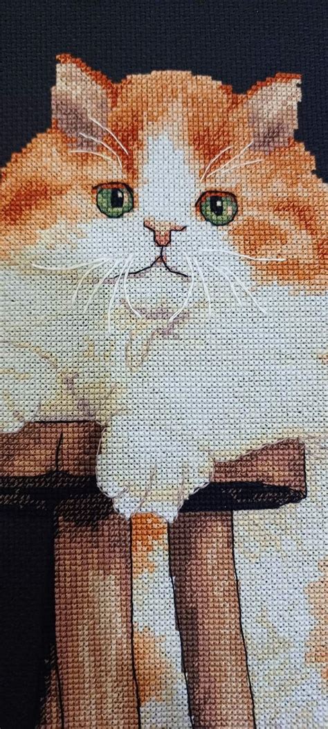 Вышивка вышивка крестиком кот котенок рукоделие подарок - Etsy