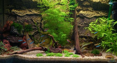 Aquarium von Voyagerz (17813): My AquaSpace 2.0