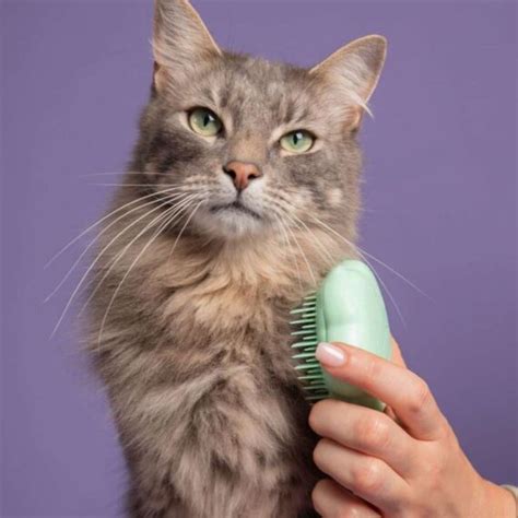 TANGLE TEEZER PET CAT | FarmacyRoom