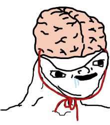 Do you know de way? ZULOL spit on de fake queen ZULOL i dont care about ...