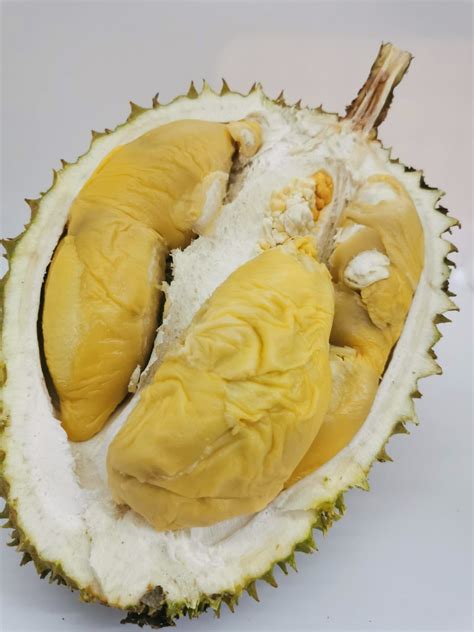 Experience The Taste Of Tekka Durian | Durian Express Delivery