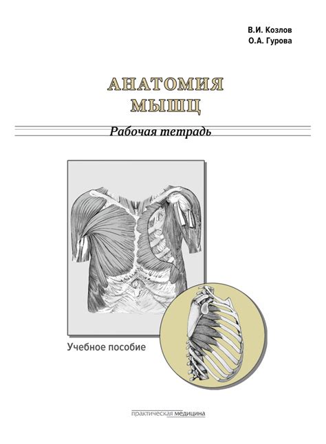 Анатомия мышц. Рабочая тетрадь