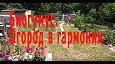 Вермикомпост. Добрый урожай 6 - YouTube