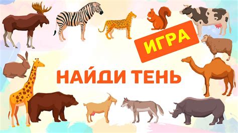 Игра для детей Найди тень Изучаем животных и цифры от 1 до 5 - YouTube