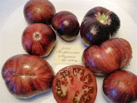 2845- Marsha,s Starfighter Beefsteak / Бифштекс Марши | Tomatoeden