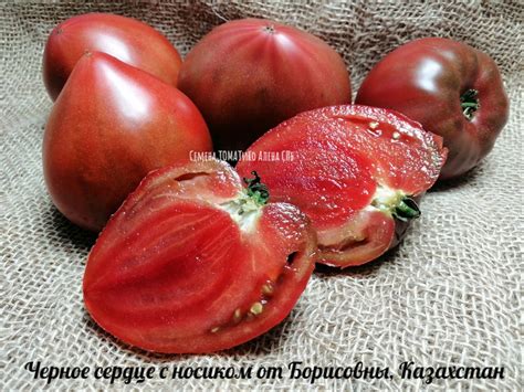 Томат Черное сердце с носиком от Борисовны: ОТЗЫВЫ, описание сорта, фото