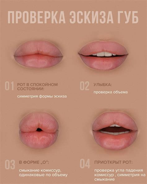 Эскиза перманента губ | Lip permanent makeup, Lips, Lip makeup