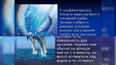 "А дельфины добрые..." - YouTube
