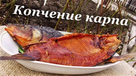 Копчение карпа, коптильня горячего копчения - YouTube