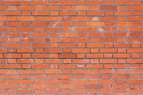 Bricks at Rs 452/piece | Bricks in Muzaffarpur | ID: 2851031798855