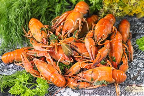 Рецепт: Как варить раков на RussianFood.com