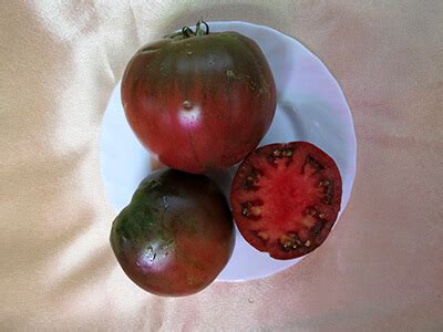 Томат Черное Сердце Брэда | Бататовые Кущи