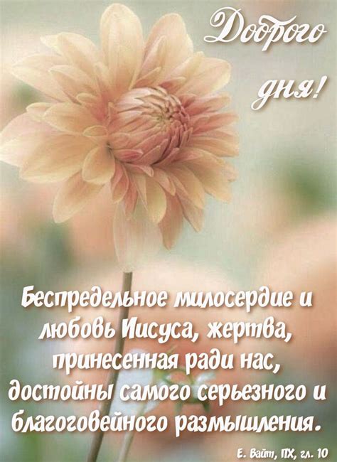 Pin by ♡Irina♡ on Guten Morgen russisch allgemein