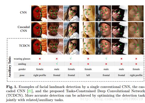 人脸关键点：TCDCN-Facial Landmark Detection by Deep Multi-task Learning-CSDN博客