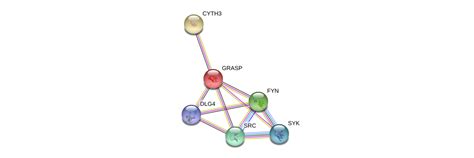 TAMALIN Gene - GeneCards | GRASP Protein | GRASP Antibody