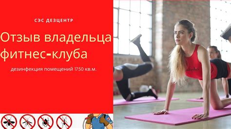 Отзыв по дезинфекции и дератизации владельца фитнес клуба от компании ...