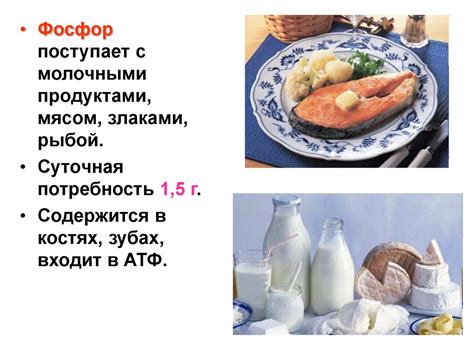 Обмен веществ - презентация онлайн