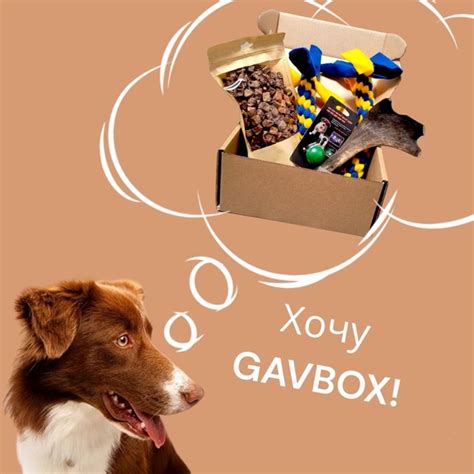 ПОДАРОЧНЫЕ БОКСЫ ДЛЯ СОБАК Gavtorg.com vk.com/gavtorg НЯМБОКС - 1000р ...