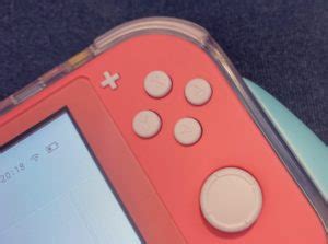 Former AKB48 Member’s Switch Lite Comes With Two A Buttons – NintendoSoup