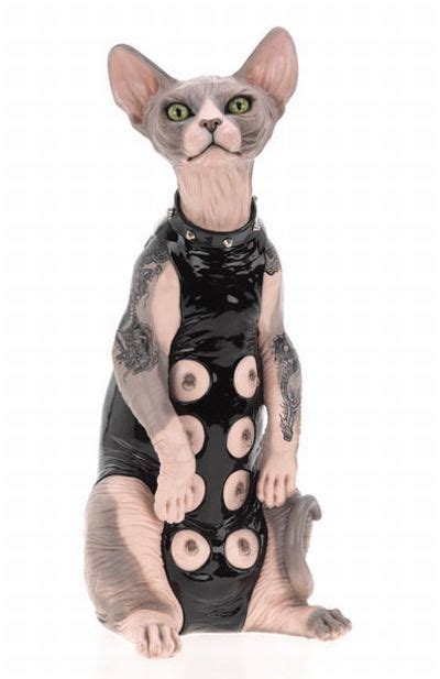 BDSM Cats (9 pics)