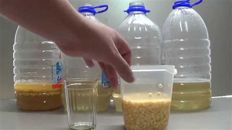 Самогон из гороха: рецепт приготовления