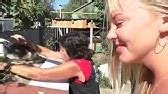 ЛЕЧЕНИЕ КРОЛИКОВ / ЭФФЕКТИВНОЕ ЛЕЧЕНИЕ ОТ БОЛЕЗНЕЙ /РАЗВЕДЕНИЕ КРОЛИКОВ ...