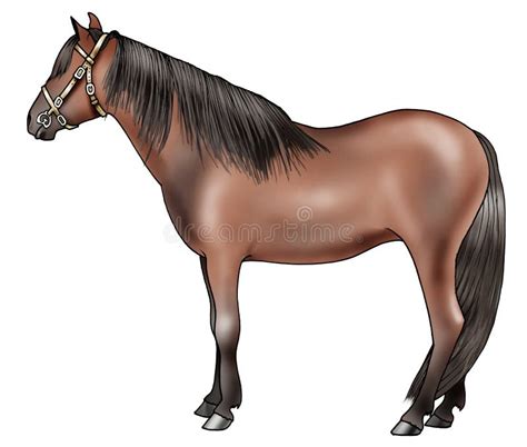 Caspico Illustrazioni, Vettoriali E Clipart Stock – (1,152 ...