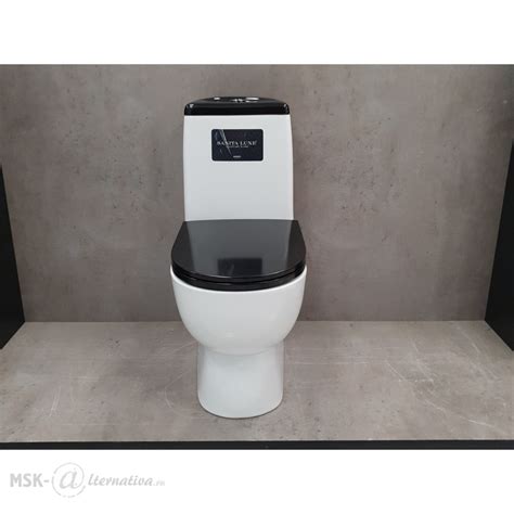 Унитаз Sanita Luxe Best Color Black BSTSLCC06100522 - купить в магазине ...