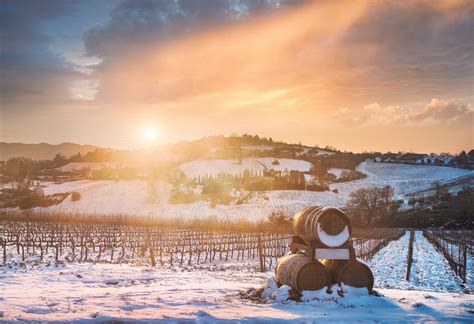 Enjoy Wine & Spirits – en av Sveriges ledande vinimportörer - Enjoy ...