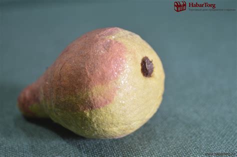 Купить Игрушка елочная "Фрукт груша". Новогодняя. Вата, папье-маше ...