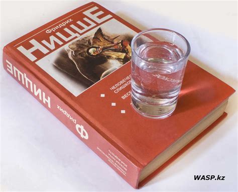 WASP.kz - Статьи: ICON водка Грешная