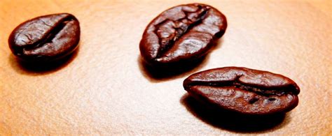 Кофе Либерика купить coffee Liberika