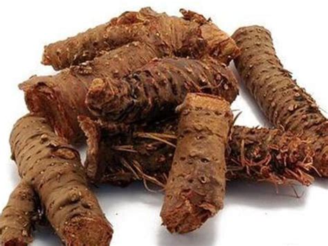 корень родиолы розовой