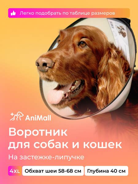 Воротник защитный ветеринарный для собак и кошек № 40 см, на липучке ...