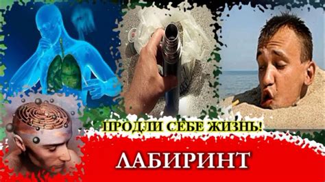 РОССИЙСКИЕ лекарственные травы для очищения лёгких. Как Очистить Лёгкие ...