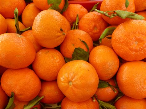 картинки : фрукты, оранжевый, Пища, производить, мандарин, Calabaza ...