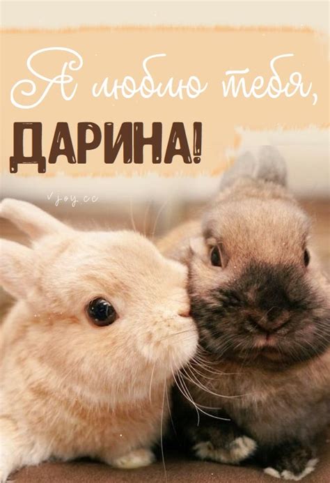 Красивые картинки - Я люблю тебя, Дарина! (40 фото)