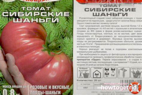 Томат Сибирские шаньги - описание и характеристика сорта