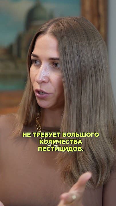 Какие продукты нельзя покупать в США #америка #продуктывсша # ...