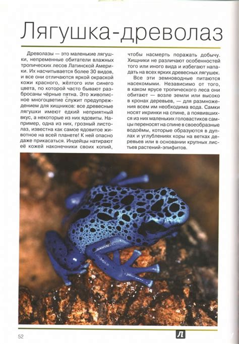 Книга: Мир животных. Открой для себя удивительный мир животных! - Жан ...