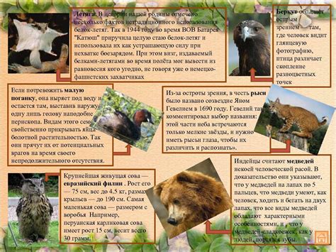По страницам Красной книги - CALAMEO Downloader