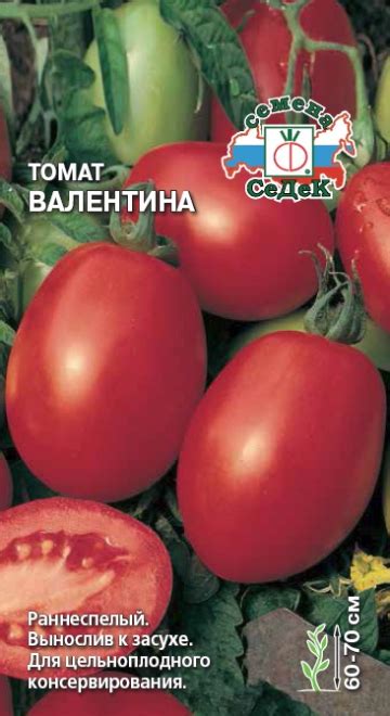 Томат Валентина оптом. Производство и реализация пакетированных семян ...