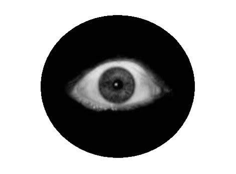 The eye | Doors Ideas Wiki | Fandom