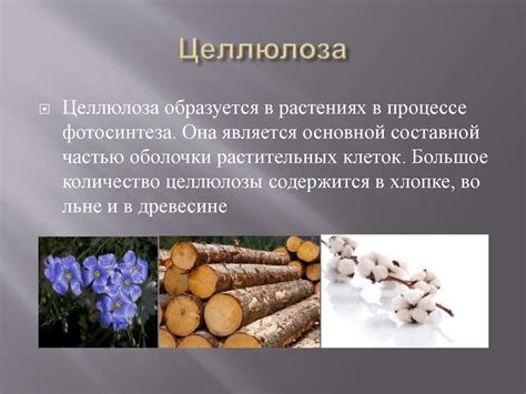 Нахождение глюкозы, сахарозы, целлюлозы и крахмала в природе и их ...