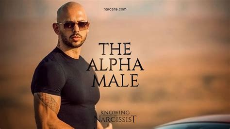 Alpha Male