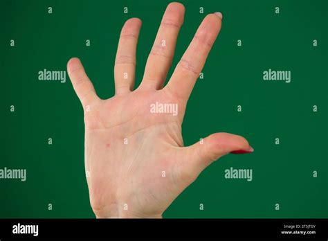 female hand isolated body parts of young woman on a green background ...